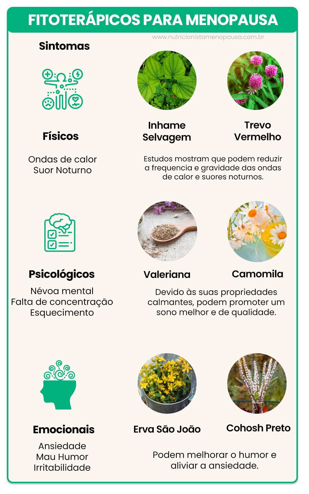 8 Fitoterapicos para Menopausa Que Aliviam os Sintomas